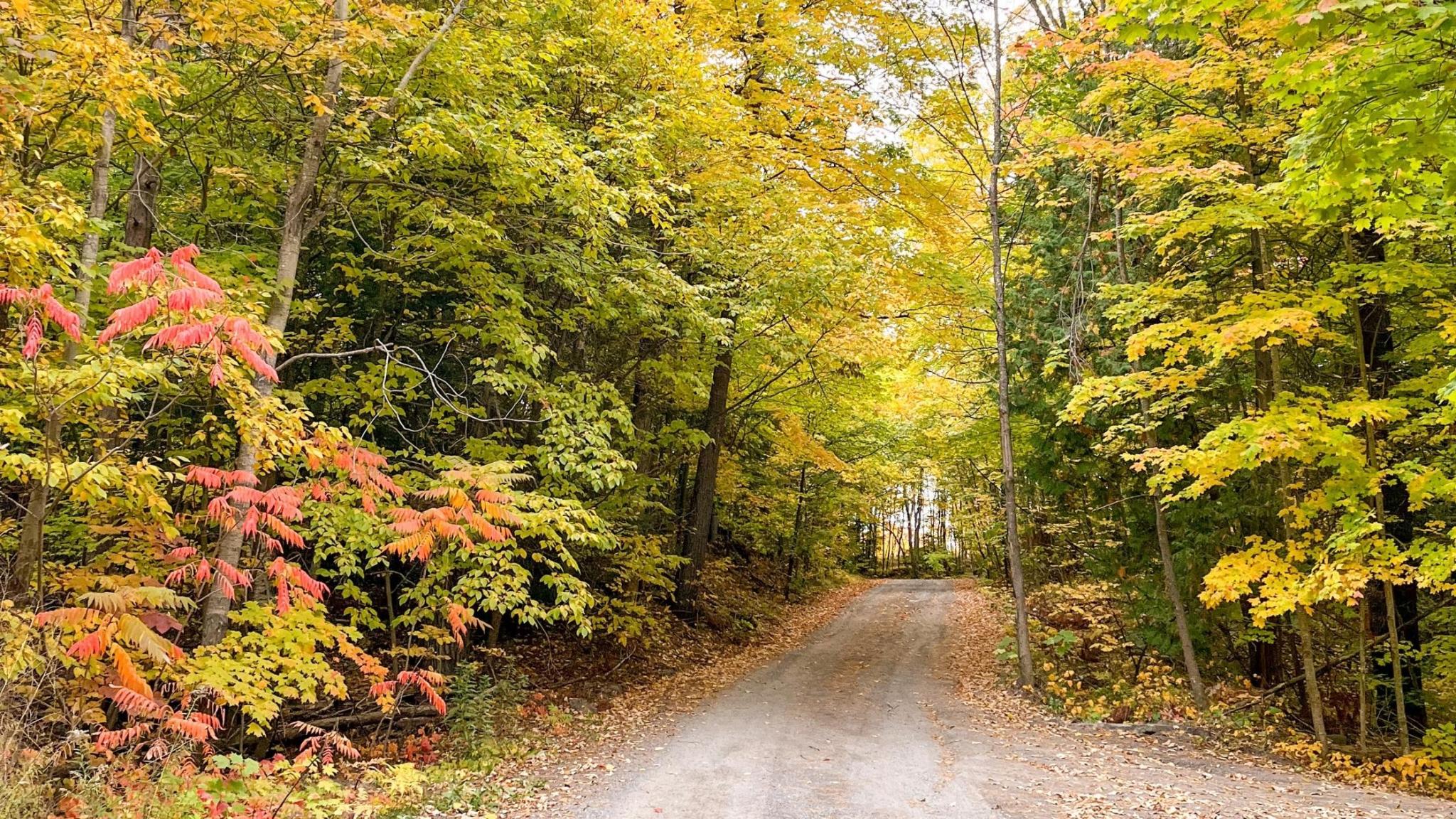 A Fall Weekend Getaway to View the Fall Colours in Ontario ...
